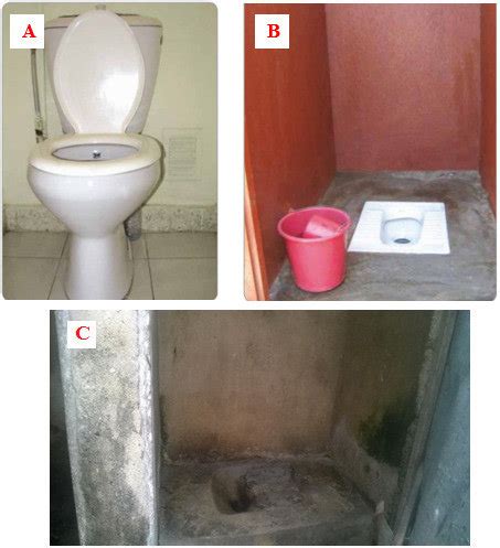 Les Différents Types De Latrines Rencontrées Download Scientific Diagram