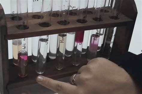 Aula Sobre ácidos E Bases Cecam Colégio Bilíngue