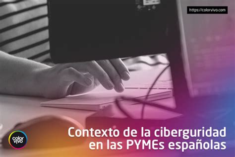 Principales Vulnerabilidades De Una Pyme En Materia De Ciberseguridad
