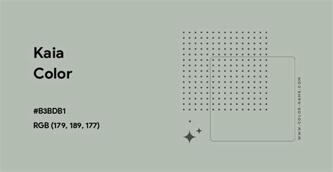 Kaia Color Hex Code Is B3bdb1