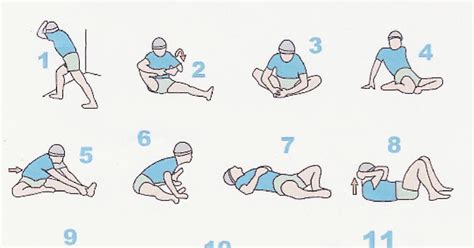 Ple Acondicionamiento Físico Ejercicios De Flexibilidad