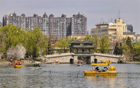 龙潭公园小黄鸭开航 条游船每日开放 码头 游客 进行了