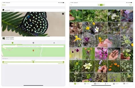 Melhores Aplicativos Para Cuidar De Plantas Ei Sports