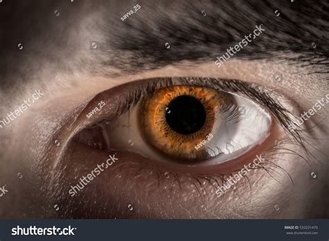 Man Brown Eyes