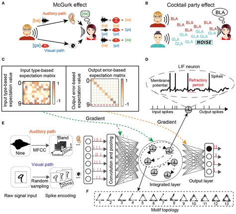 Frontiers Explaining Cocktail Party Effect And Mcgurk Effect With A