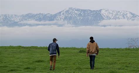 [specific] Can Someone Remove The Dead Hedge In The Background Imgur