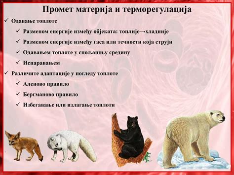 33 Endokrina Regulacija I Termoregulacija Pptx