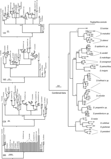 bayesian inference analysis for each gene separately and for the