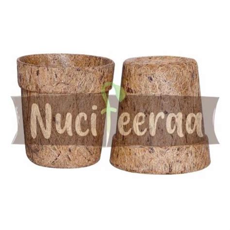 Coco 4 Pot At ₹ 15piece Coco Pot In Coimbatore Id 26128730333