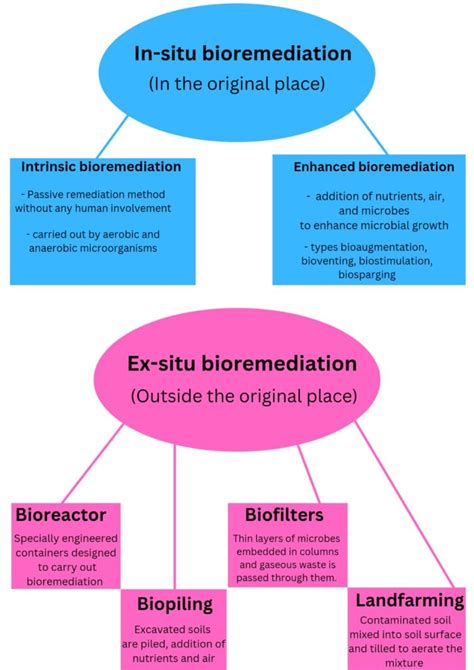Bioremediation And Phytoremediation Recent Applications Of