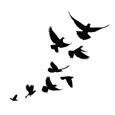 Birds Illustrations Royalty Free Vector Graphics And Clip Art Istock