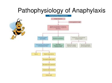 immunology allergic reactions and anaphylaxis