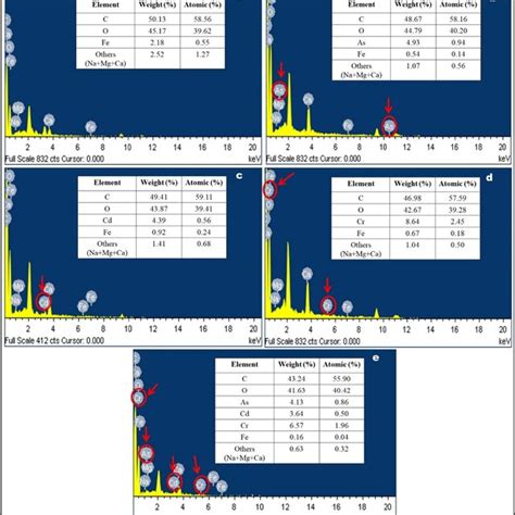 Energy Dispersive X Ray Spectroscopy Edx Image Of A Raw B
