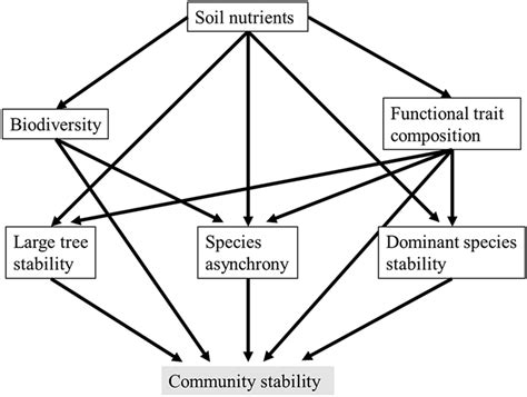 A Conceptual Model For Structural Equation Model To Test The Direct Or Download Scientific