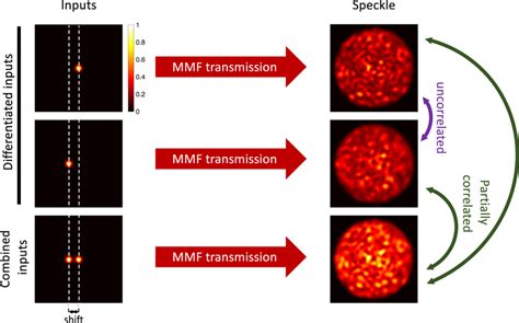 Schematic Of Speckle Based Space Division Multiplexing Using An Mmf At Download Scientific