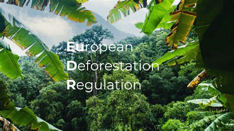 Eudr How To Comply With The Requirements Of The New Eu Deforestation