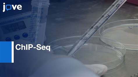 Chip Seq To Identify Transcription Factor Olig2 Genomic Binding Sites