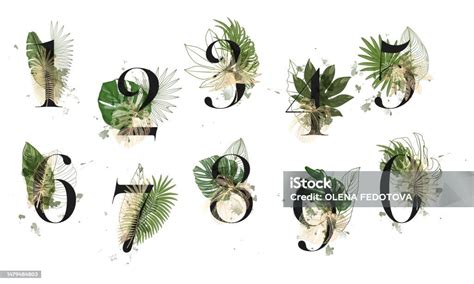 열대 꽃 번호 식물 꽃다발로 숫자를 설정하십시오 청첩장 인사말 카드 생일 로고 포스터 기타 아이디어 벡터 그림입니다 0명에 대한 스톡 벡터 아트 및 기타 이미지 Istock