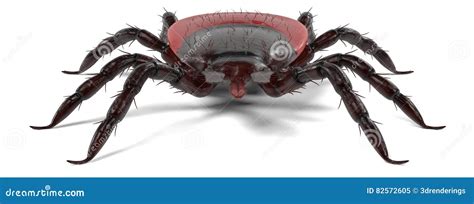 Tick Stock Illustration Illustration Of Parasite Arthropoda 82572605