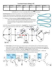 Functional Groups KEY Pdf Functional Groups In Biology Course Hero