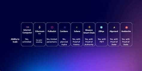Layer Blockchain Comparison What Is The Future Of Web