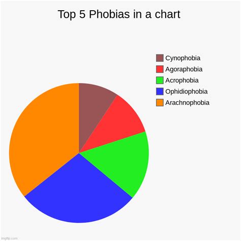 Top 5 Phobias In A Chart Imgflip
