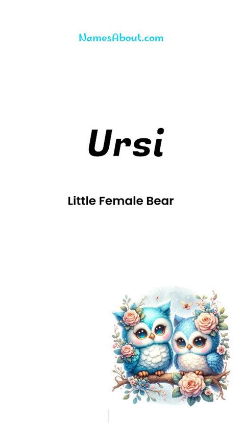 Ursi Name Meaning And Origins Nicknames Sibling Ideas