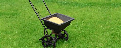 Fertilizer And Grass Seed Visit Kern Turf Supply