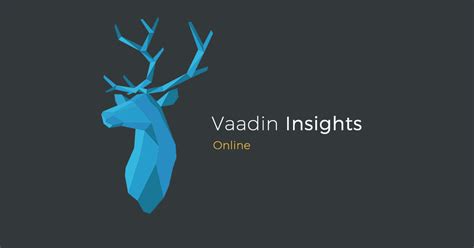 Bridging The Gap Between Vaadin Decision Makers And Customers All Over