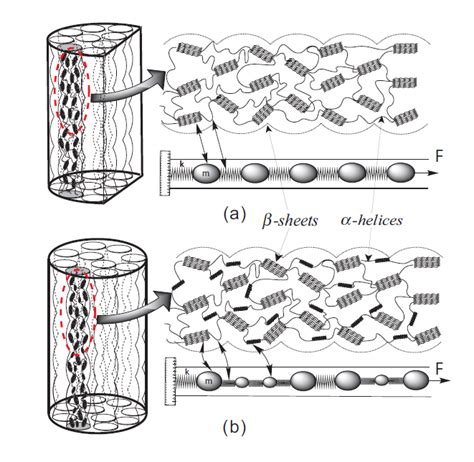 Silk Chemical Structure