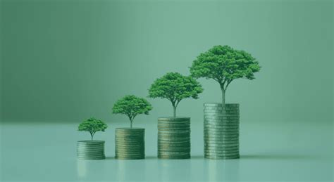 Why Growing Businesses Choose Sage Intacct Oasis Solutions Your Business Management Software