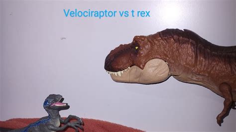 Velociraptor Vs T Rex Youtube