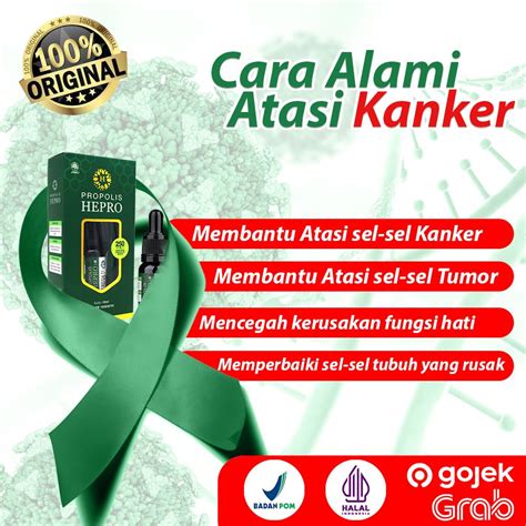 Jual Propolis Hepro Mencegah Dan Atasi Sel Kanker 10ml Shopee