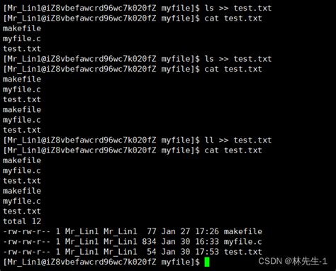 【linux笔记】文件描述符与重定向文件描述符重定向恢复文件 Csdn博客