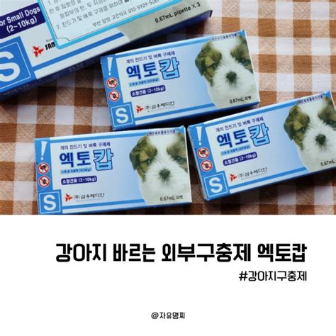 강아지 바르는 외부기생충약 진드기 및 벼룩 구제제 엑토캅 사용 후기 네이버 블로그