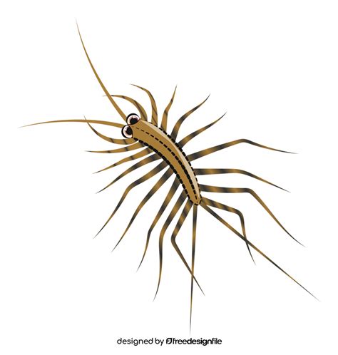 House Centipede Cartoon Clipart Free Download