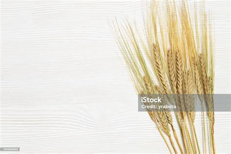 잘 익은 호밀의 귀 익히는 귀를 가까이서 볼 수 있는 흰색 나무 배경 가을 수확 시간의 개념 복사 공간이 있는 플랫 레이 가을에