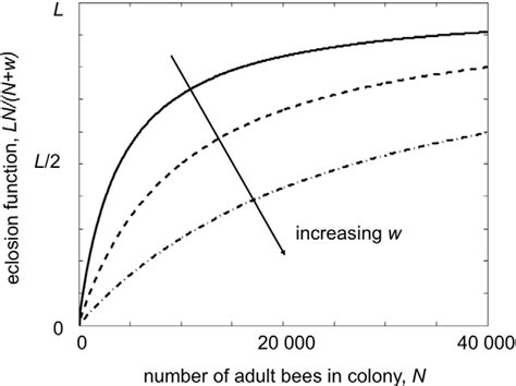 Figure 2 From A Quantitative Model Of Honey Bee Colony Population