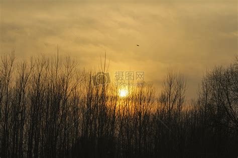 黄昏高清图片下载 正版图片500084959 摄图网
