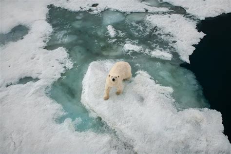 Yarin Klein Insearch Pk