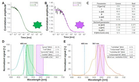 Dual Color Fluorescence Cross Correlation Spectroscopy To Study Protein Protein Interaction And
