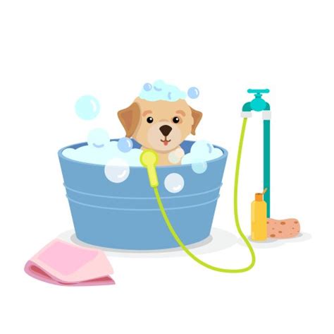 Dog Having Bath Royalty Free Vector Image Vectorstock
