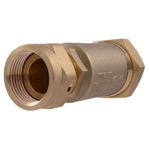 Dual Check Backflow Preventer Backflow Preventers And Vacuum Breakers At