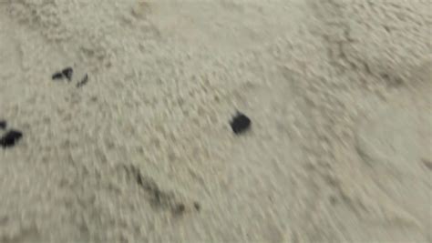 Transparent Translucent Opaque Stock Video Footage K And HD Video Clips Shutterstock