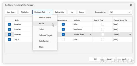 界面控件devexpress Winforms V24 2 数据处理功能增强 知乎