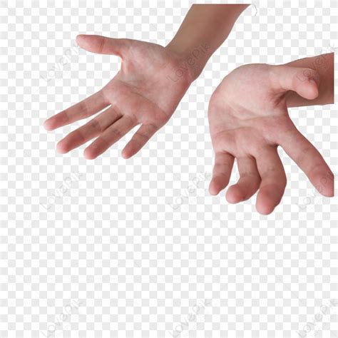 손 포즈 사진 제스처 손 일러스트 검사 손동작 Png 일러스트 무료 다운로드 Lovepik