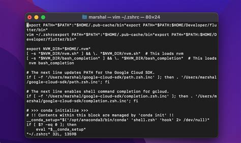 How Do I Stop My Terminal From Opening Vim Files Whenever I Open Up The Terminal Application