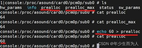 Linux Alsa 之五：alsa Proc Infolinux Asound Csdn博客