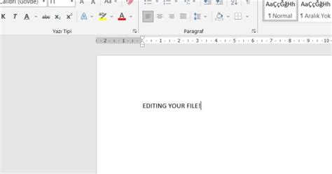 Edit Text In Word File By Hilalsena Fiverr