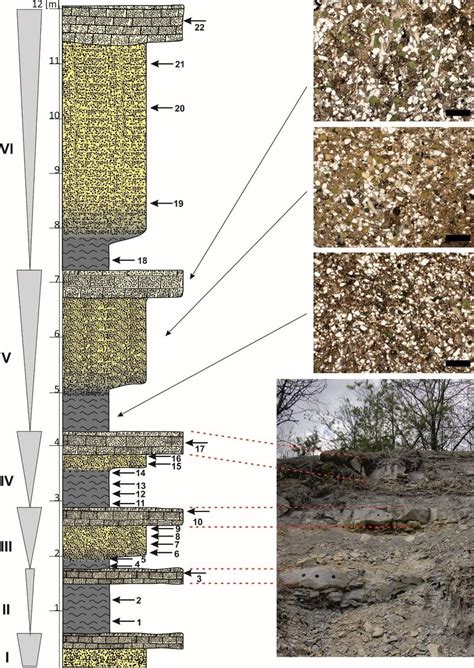 Lithological Column Of The Szozdy Section Dark Grey Calcareous